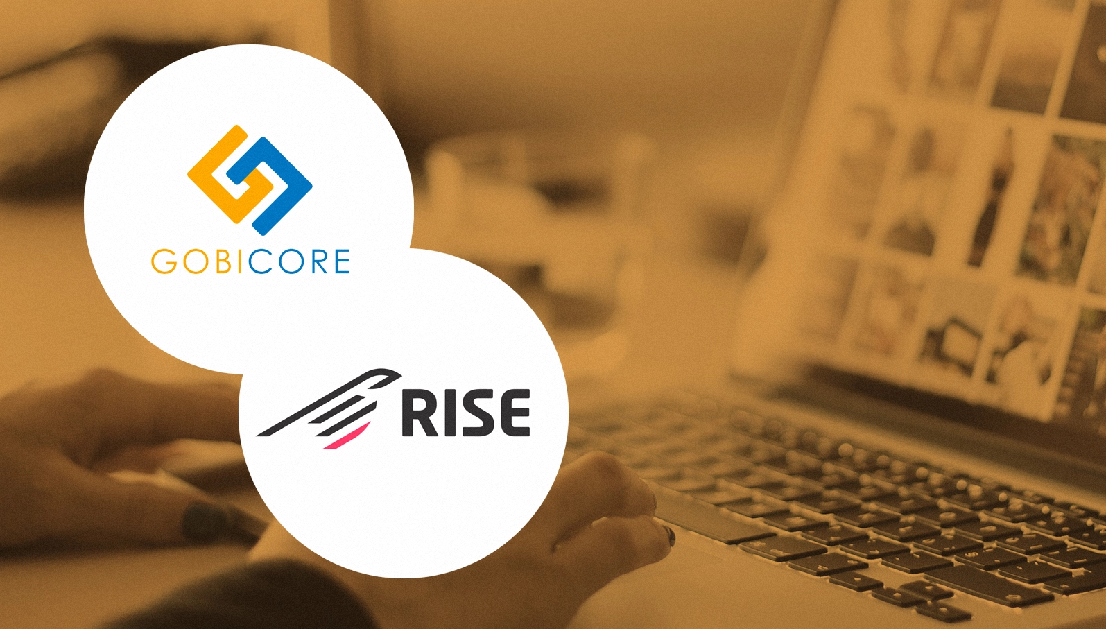 Gobi-Core invests in PH internet solutions provider Rise Group - The ...